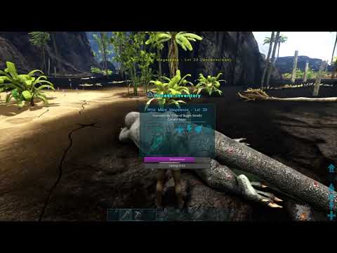 Ark Survival ( private server ) - YouTube