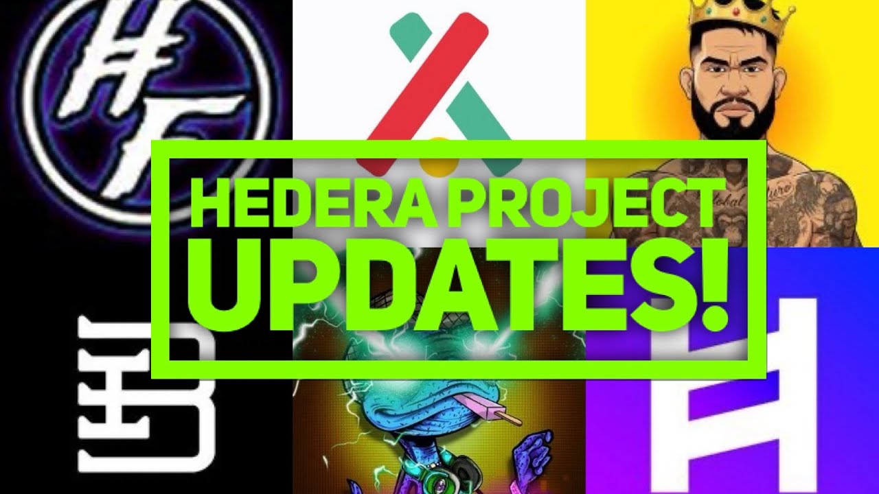 🚀 #hedera projects update YOU MUST KNOW!!🤩 - YouTube
