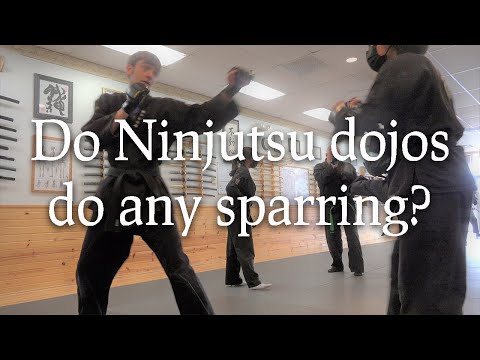 Do Ninjutsu dojos do any sparring? - YouTube