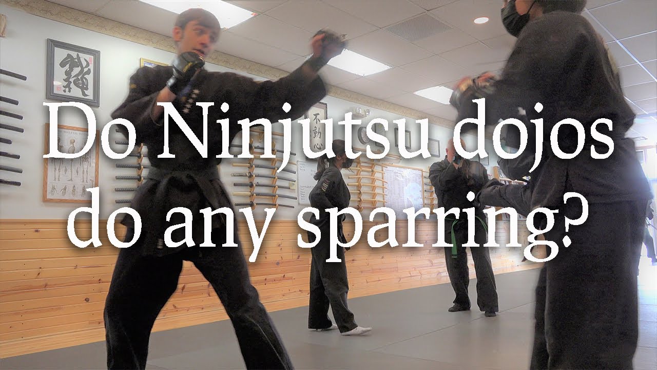 Do Ninjutsu dojos do any sparring? - YouTube