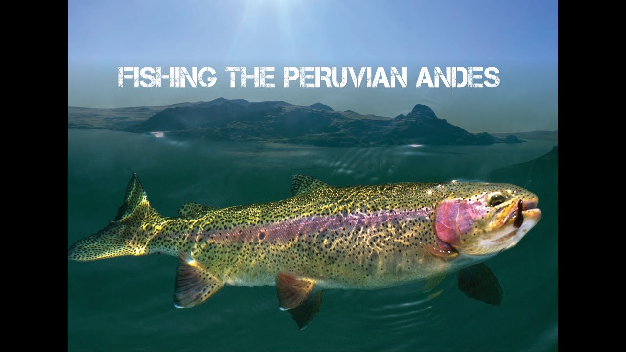 FISHING THE PERUVIAN ANDES - YouTube