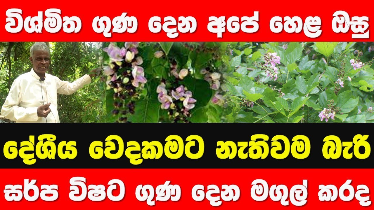 Sinhala Ath Beheth | Magul Karada | story eka - YouTube