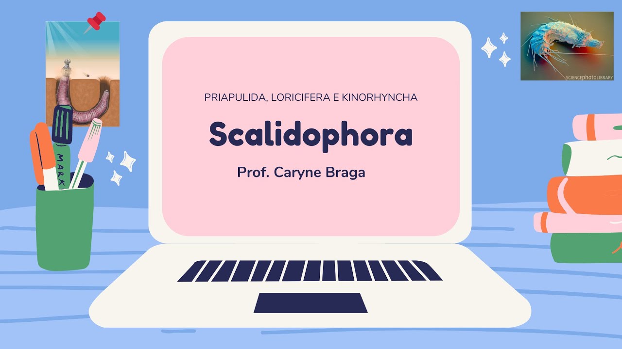 Scalidophora: Priapulida, Loricifera e Kinorhyncha - YouTube