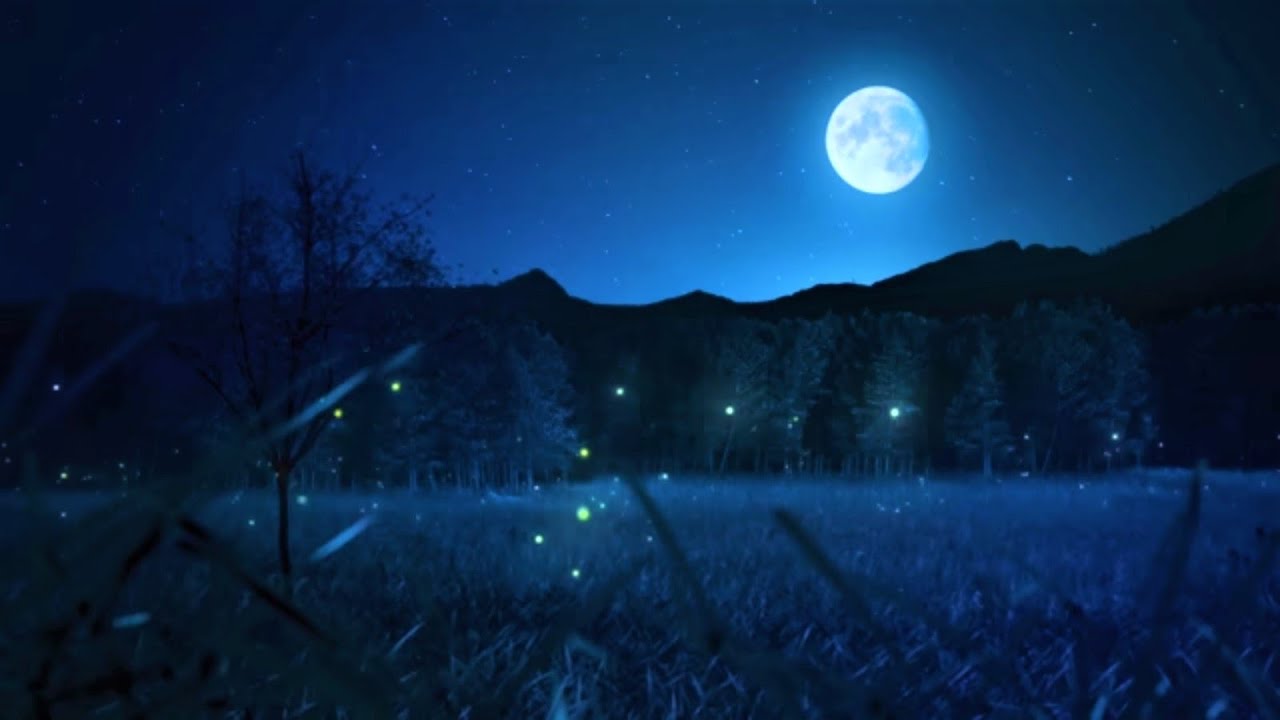 Relaxing Soft Cricket Sound for Sleep and Meditation - Calming Nature ...
