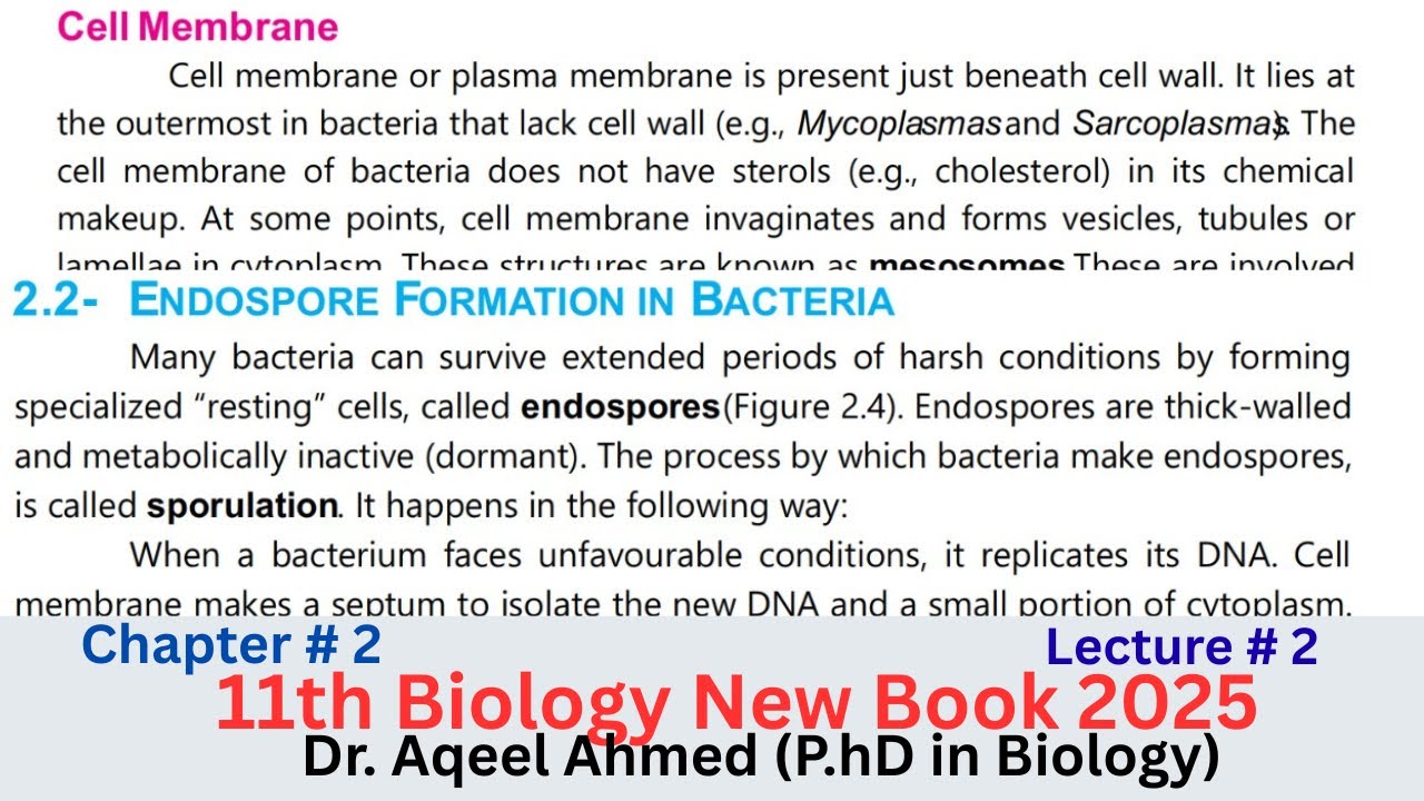 Endospore formation in Bacteria | class 11 biology chapter 2 | New Book ...