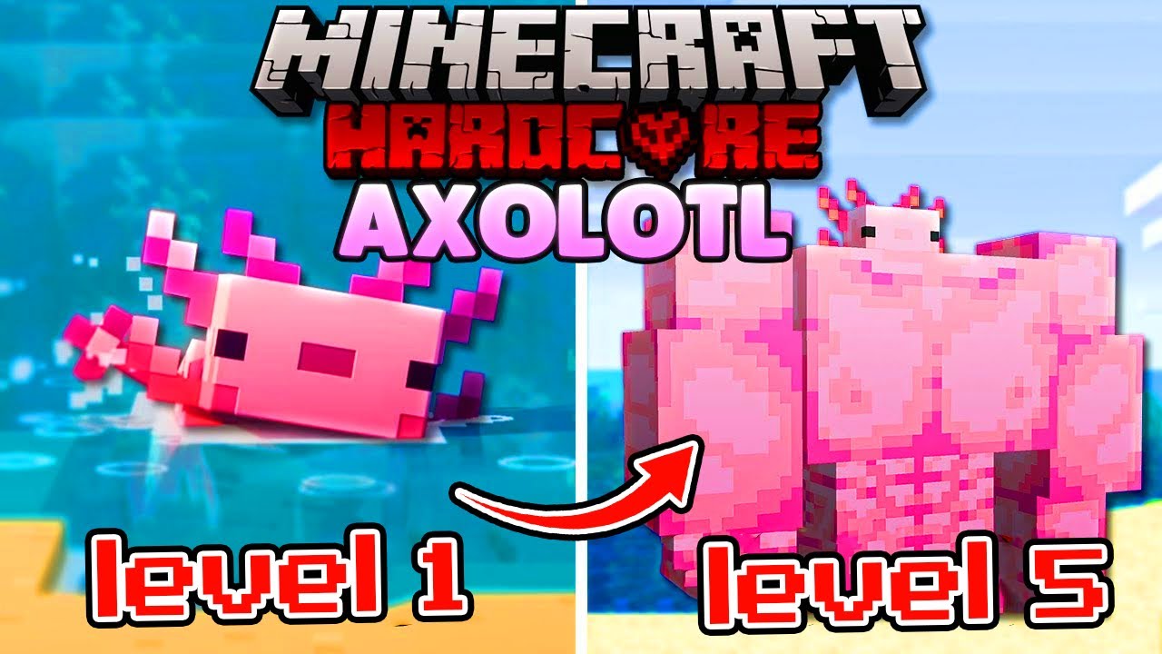 จะเป็นยังไงถ้าผมใช้ชีวิตเป็น Axolotl 1 วันใน Minecraft - YouTube