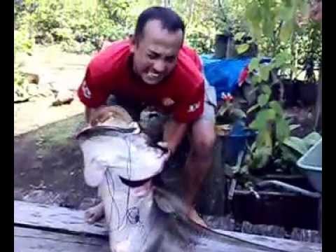 Mancing Mania di Kuala Retok