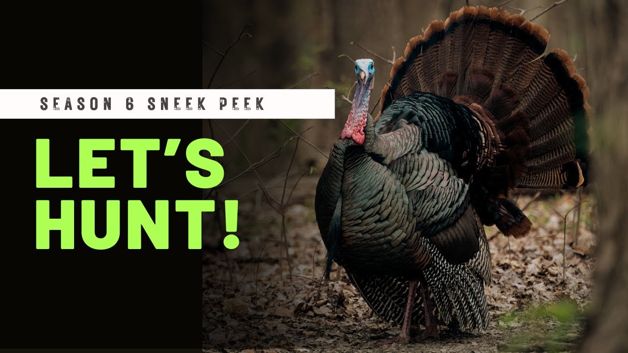 Let's Go Turkey Hunting! - YouTube