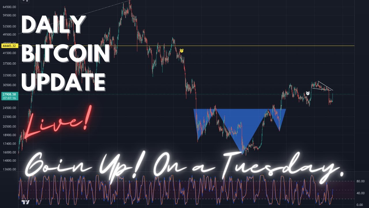 CRYPTO GOIN UP! ON A TUESDAY... *Special Livestream* [Daily Bitcoin ...