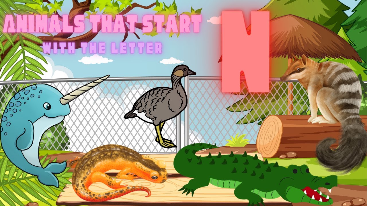 5 Jaw-Dropping Animals That Start with the Letter N! Kids Animal ...