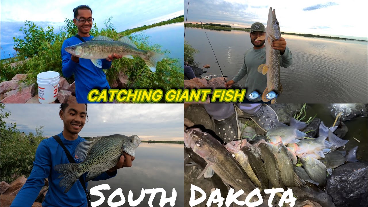 Fishing trip to South Dakota ( walleye, white bass, crappie, northern ...