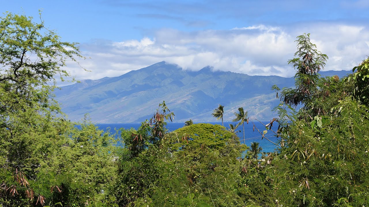 Napili Ridge D12 - Maui, Hawaii - YouTube