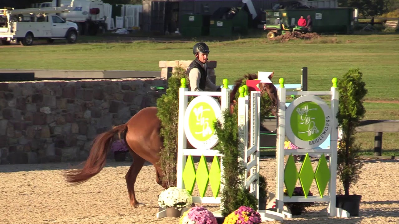 Anytime ridden by Jonathan Williams Owned by Mary Chapot | 1.10m 9/29 ...