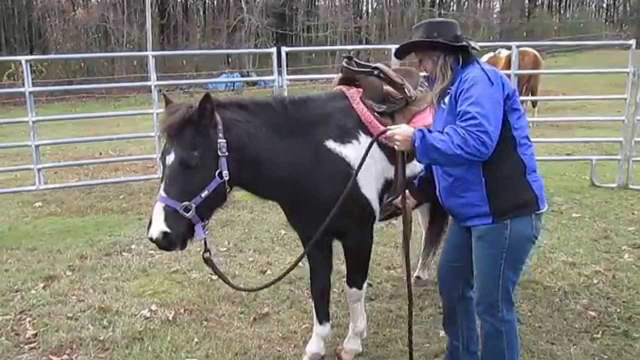 Tacking up a pony that used to bite when getting saddled.. - YouTube