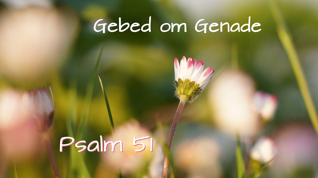 Gebed om Genade - Psalm 51 - Orgel Woudrichem - YouTube