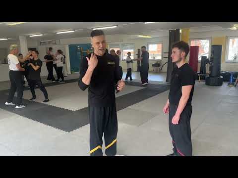 Bong Sao - Tan Sao in Wing Tsun - YouTube