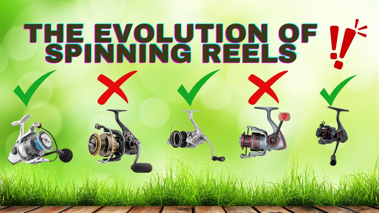 The Evolution of Spinning Reels: Top 6 Picks! - YouTube