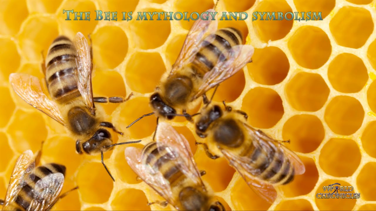 Bees in myth and religion Bee Gods - YouTube
