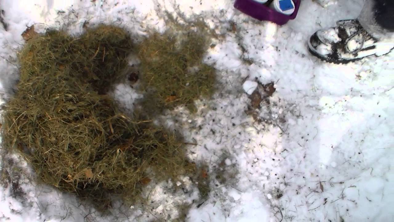 How to make a hay set - YouTube