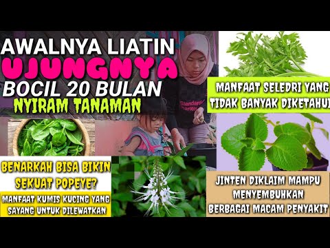 PAGI-PAGI NYIRAM TANAMAN SAMBIL NGAJARIN ADEK AKHIRNYA YANG TERJADI?😕