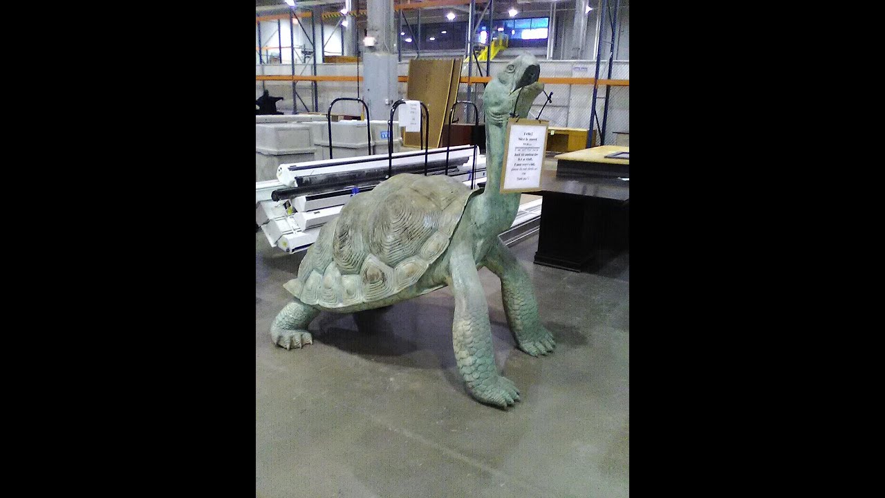 Terrapin Trader - YouTube
