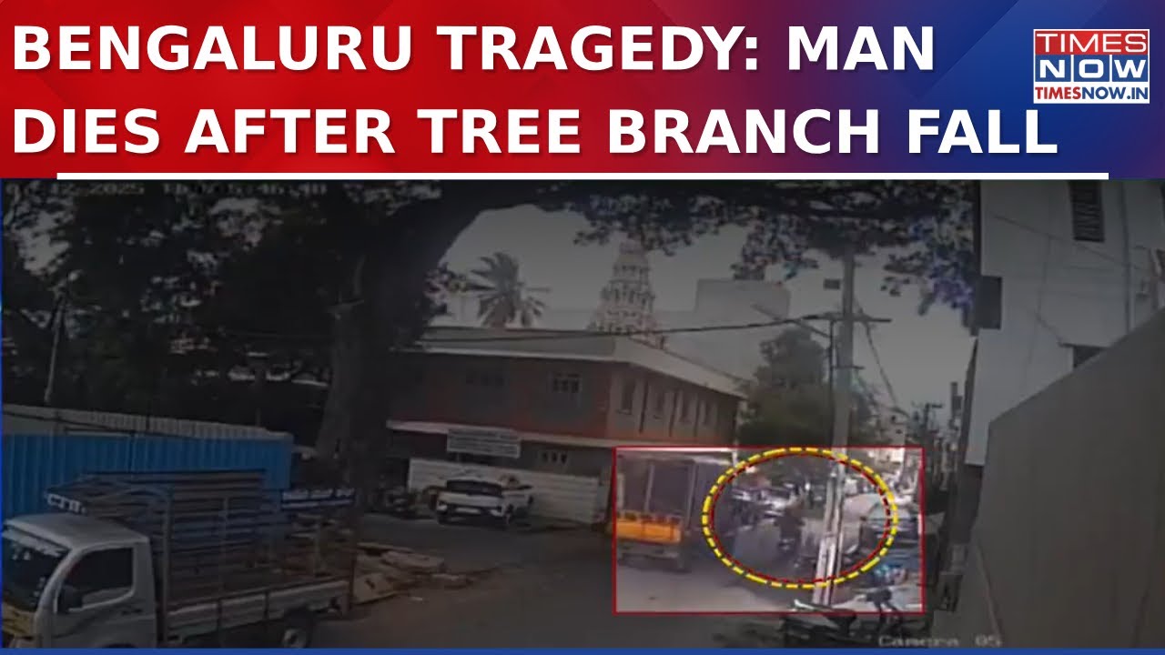 Bengaluru Tragedy: Man Dies After Tree Branch Fall, Family Blames BBMP ...