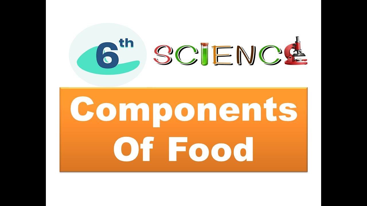 Class 6: Science: Components of Food: Session 1 - YouTube