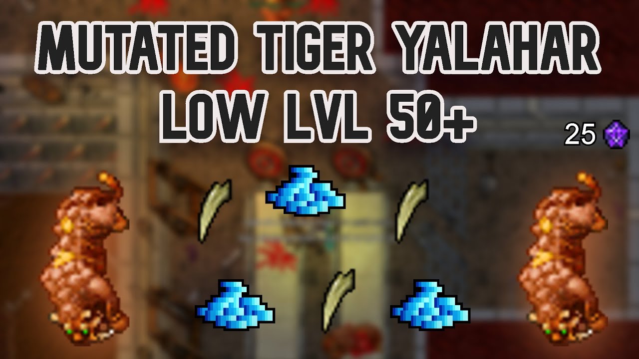 Profit // ZONAS DE CAZA // Mutated Tiger de Yalahar // Low lvl +50 - YouTube