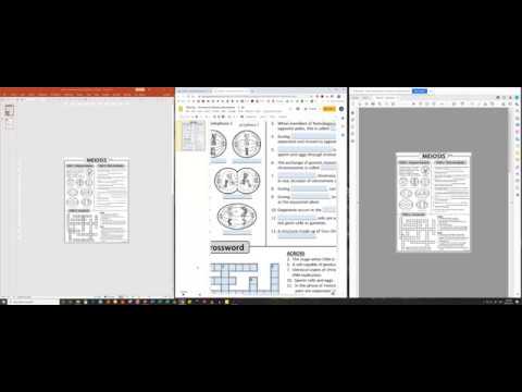 Meiosis - Homework Review Worksheet / Test Prep (by Tangstar Science ...