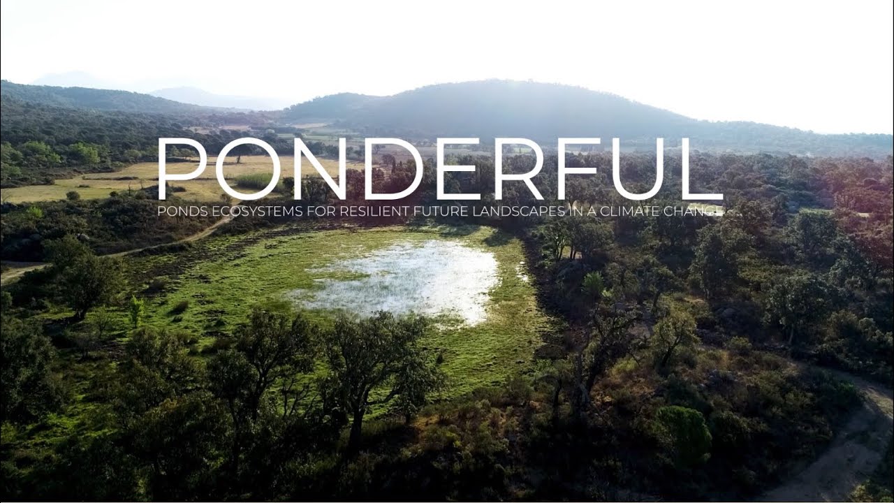 Projecte PONDERFUL: com basses i estanys poden actuar per fer front al ...