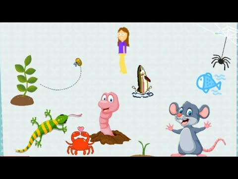 Os seres vivos e os elementos sem vida. Educandário Emanuel - YouTube