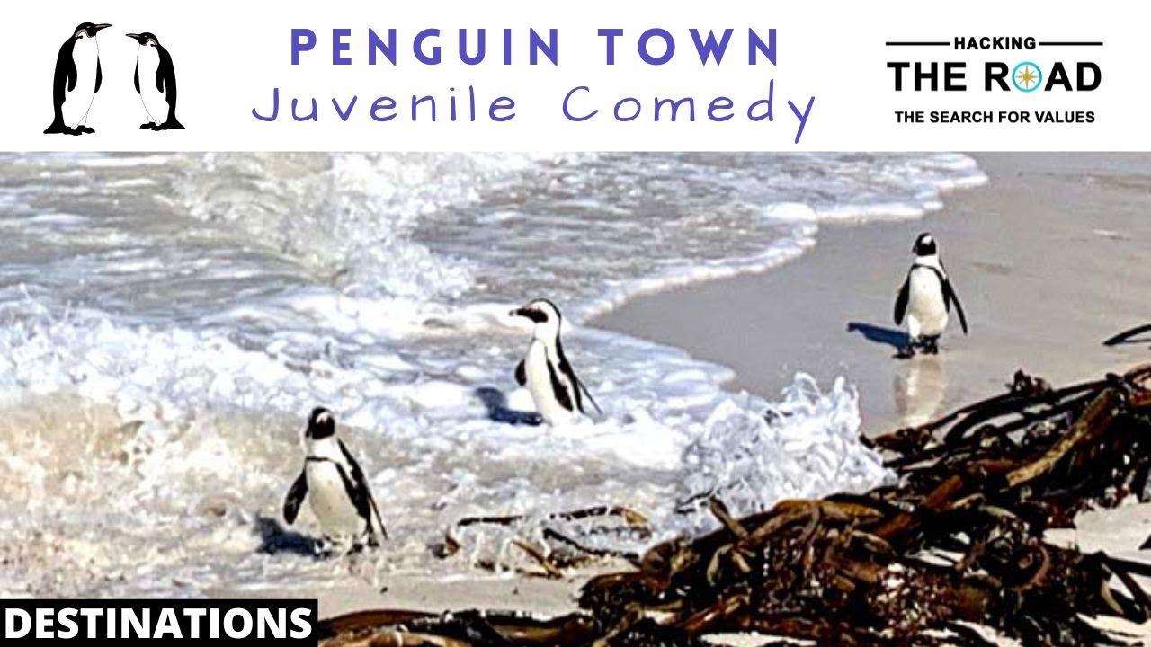 Penguin Town Juvenile Comedy - YouTube