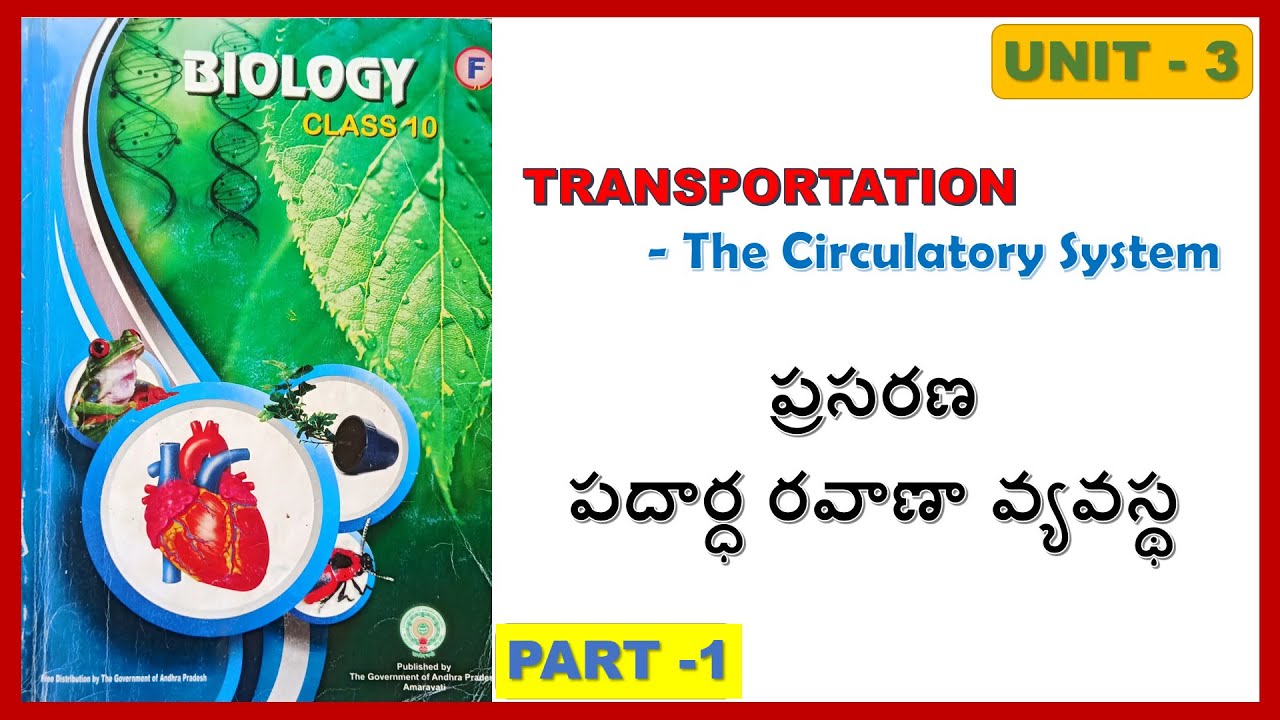 CLASS 10 BIOLOGY |TRANSPORTATION THE CIRCULATORY SYSTEM| SSC BIOLOGY ...