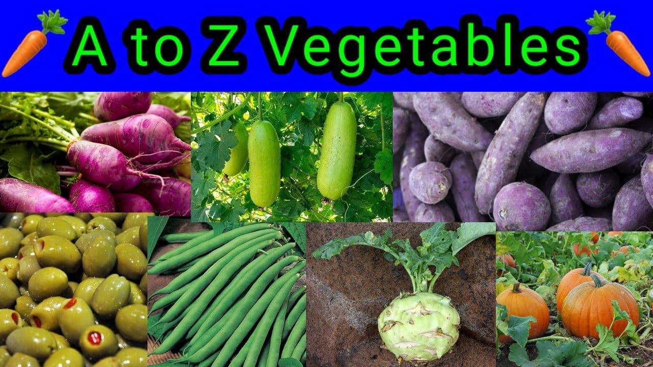 A to Z Vegetables Name and their Pictures // PART - 2 // WORDS 26 - YouTube