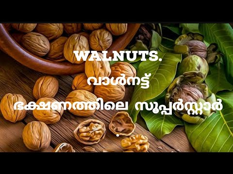 Walnuts.ഭക്ഷണത്തിലെ സൂപ്പർസ്റ്റാർ. Malayalam health tips. - YouTube