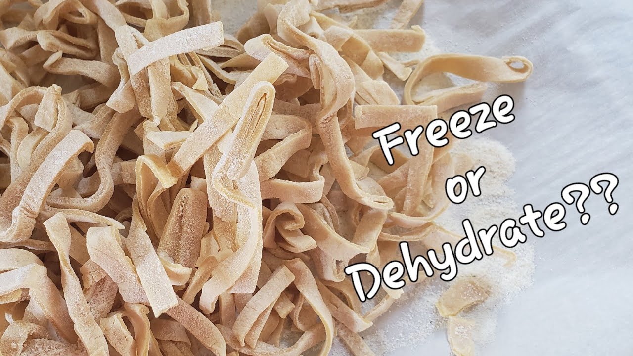 Homemade pasta recipe & Dehydrate or Freeze?? - YouTube