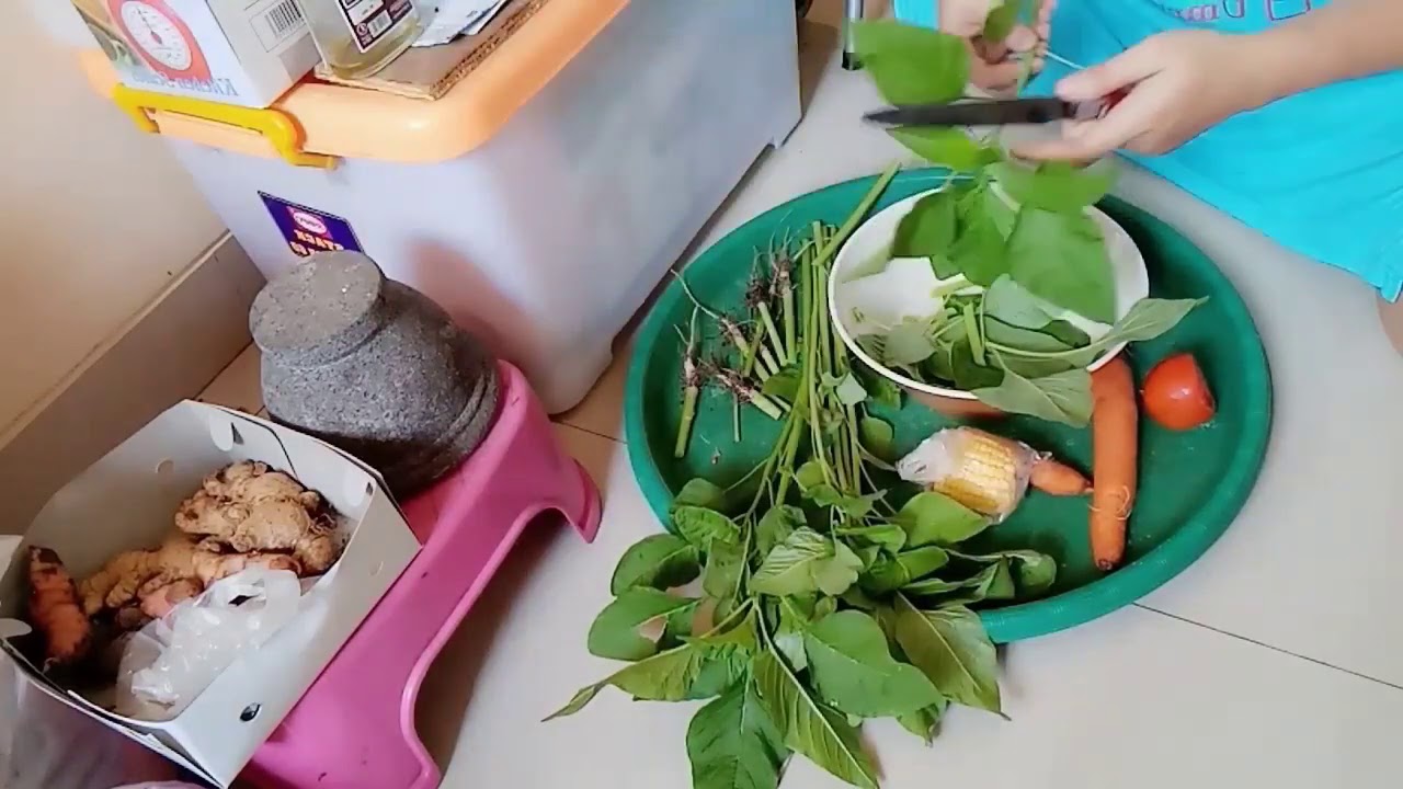 Bening bayem hasil kebun miniku👍 - YouTube