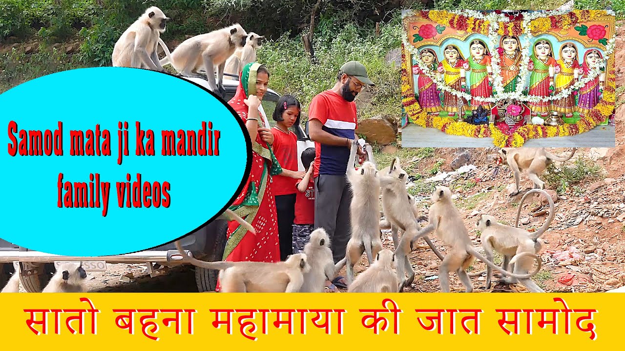 सातो बहना महामाया की जात सामोद family vlogs | Samod mata ji ka mandir ...