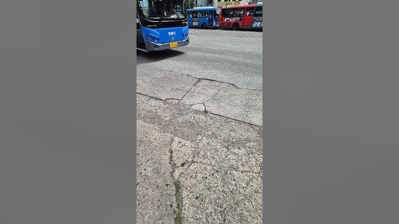 영진교통 730번 2328호 스마트 11HG F/L CNG ZFAuto 20년식 승차영상 동명교통 - YouTube