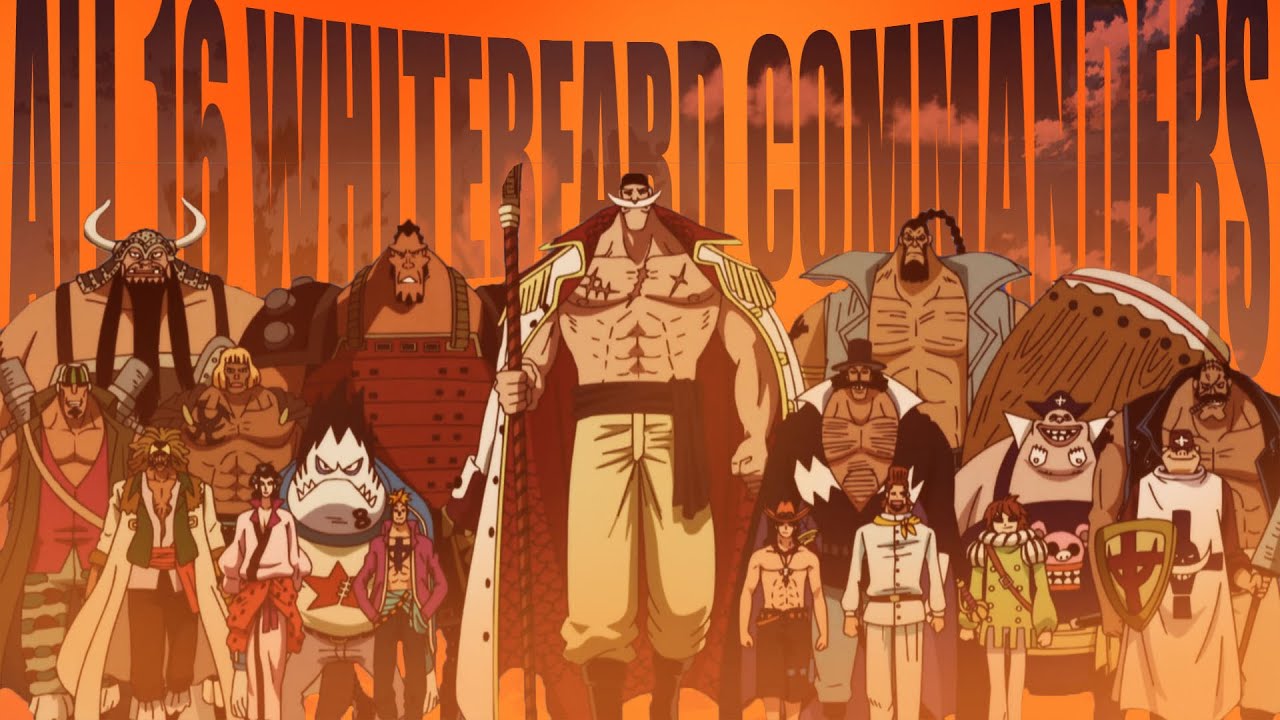 One Piece-All the sixteen (16) whitebeard commanders - YouTube