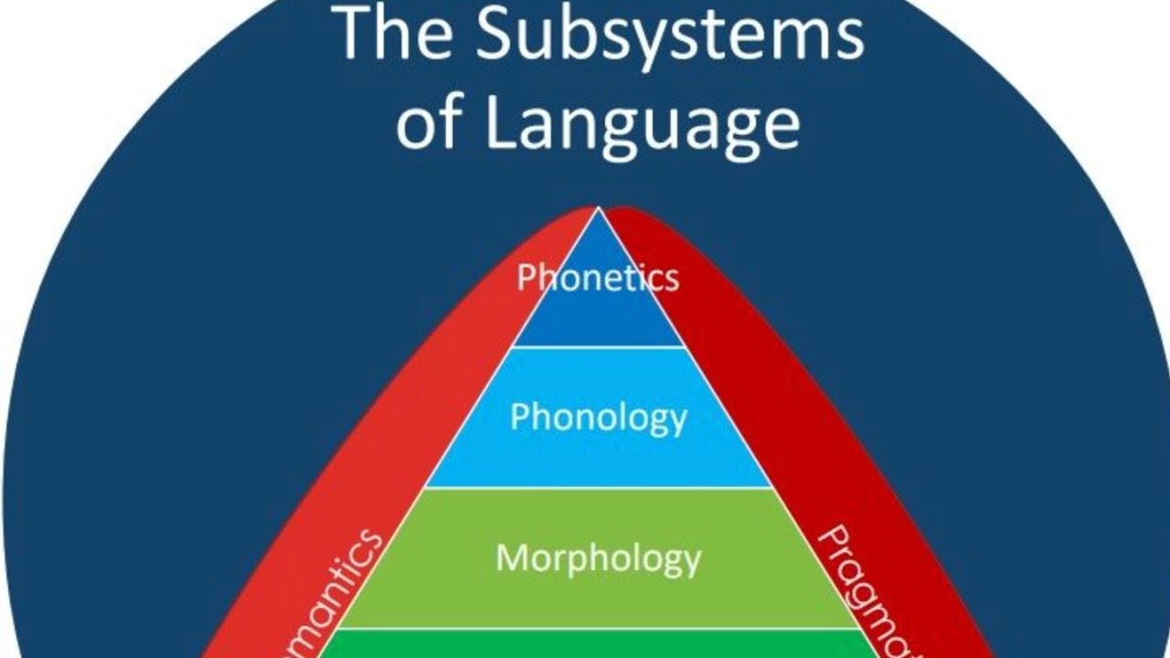 How describe the subsystems of language? Subsystems(like phonetic ...