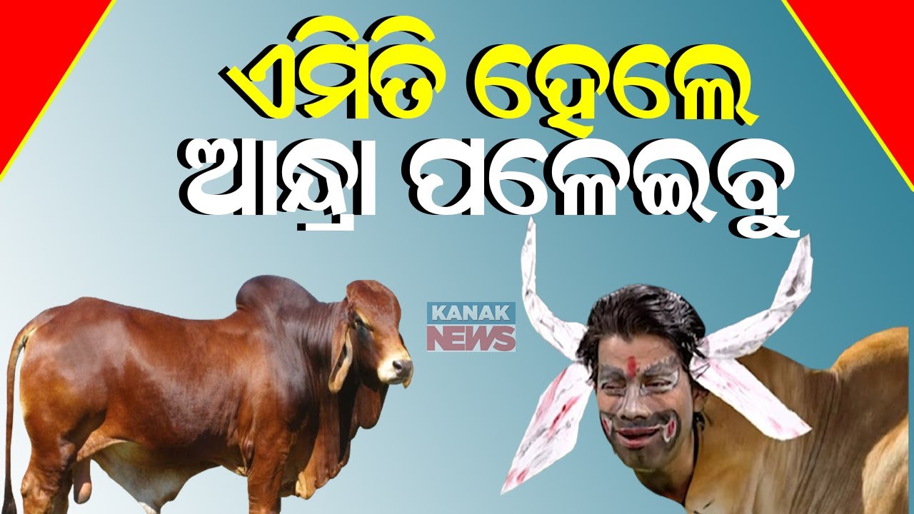 Loka Nakali Katha Asali: ଏମିତି ହେଲେ ଆନ୍ଧ୍ରା ପଳେଇବୁ || Vegetable Price ...
