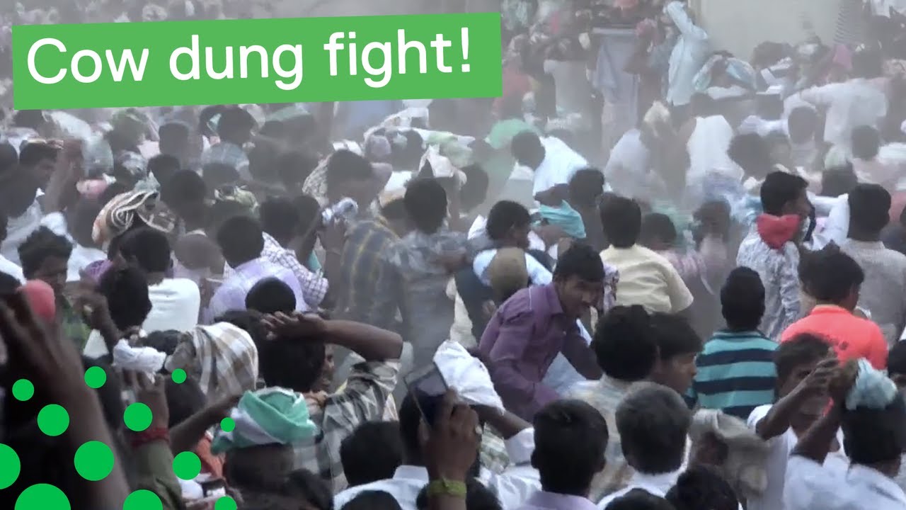 People Throw Cow Dung at Each Other in Annual Festival - YouTube