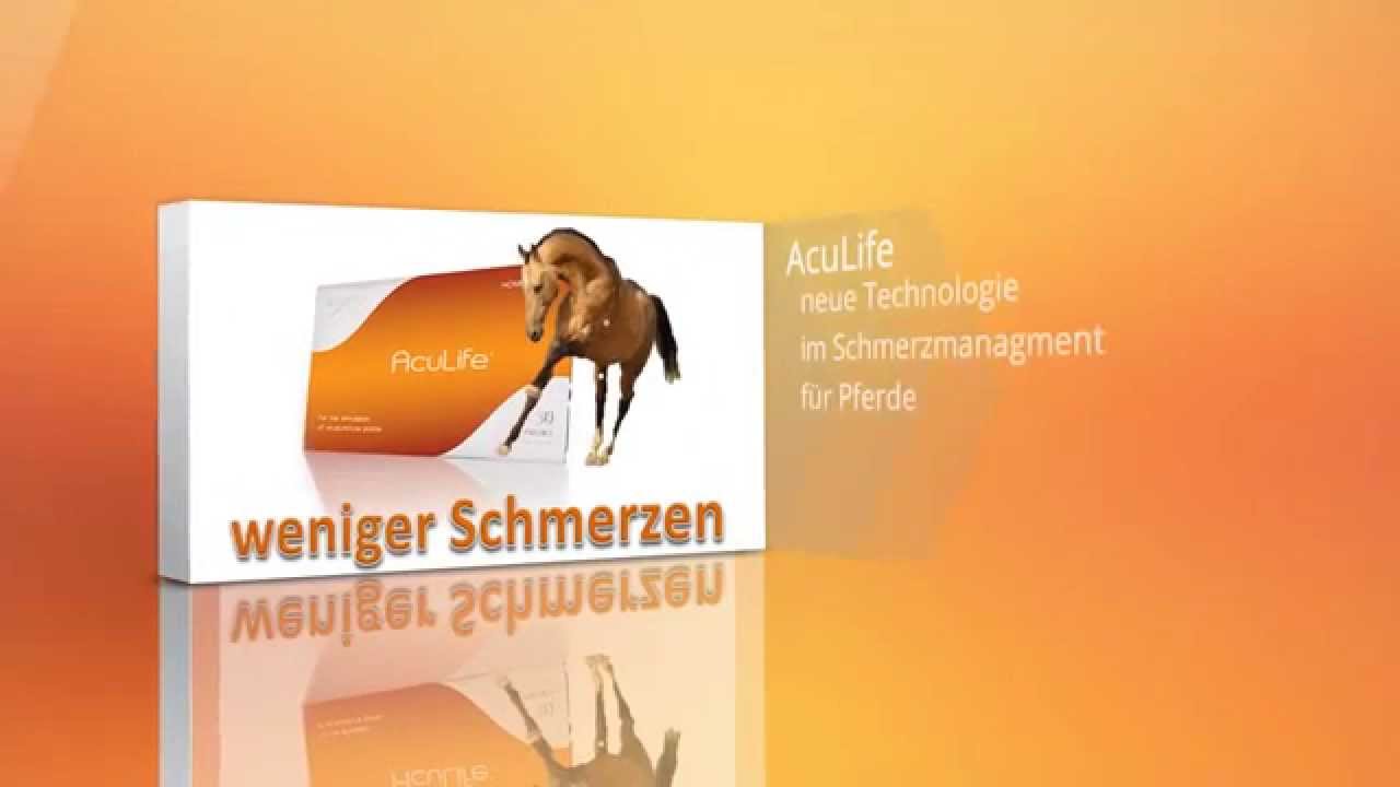 AcuLife® Akupunktur-Patches zur Schmerzbekämpfung bei Pferden - YouTube