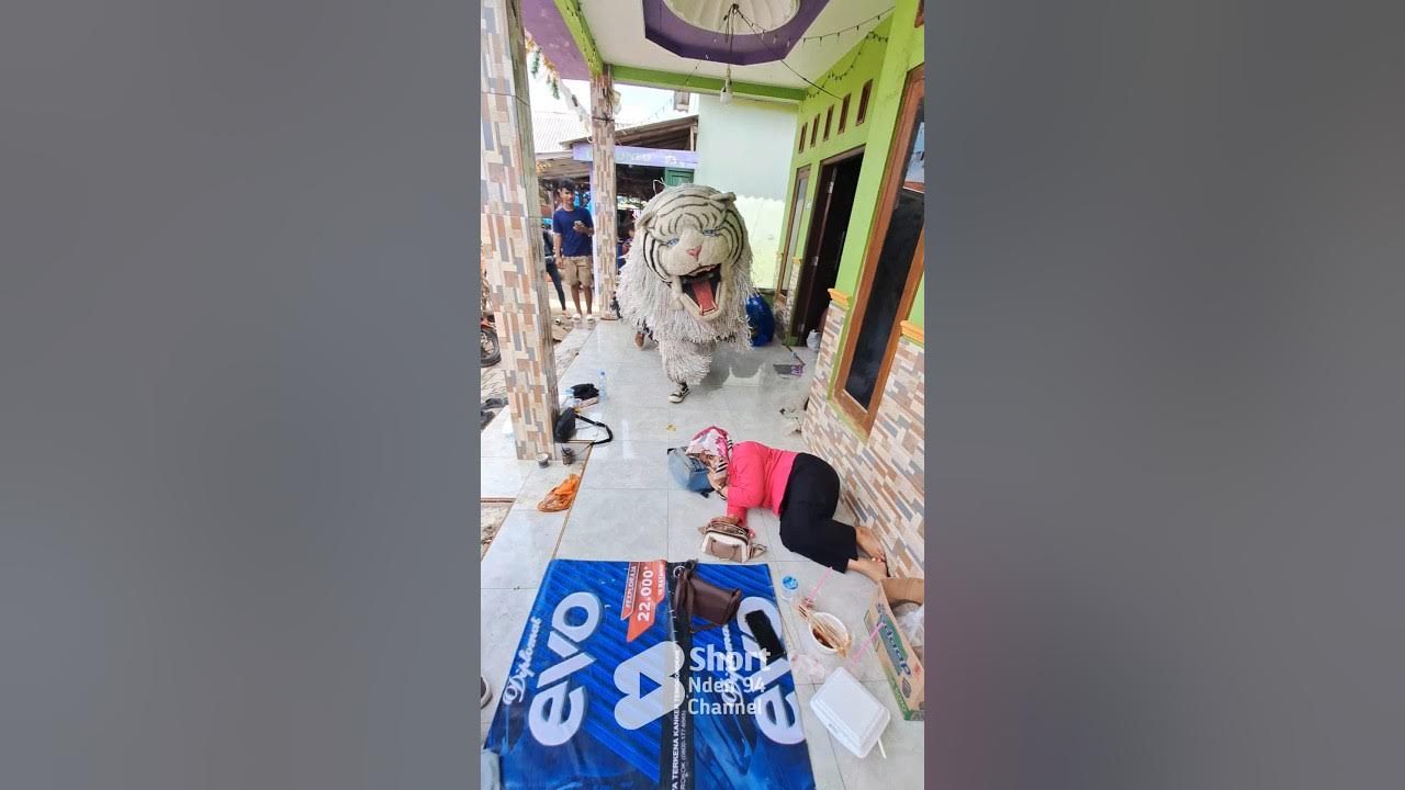 Lagi Bobo Cantik di gigit Can Macanan - YouTube