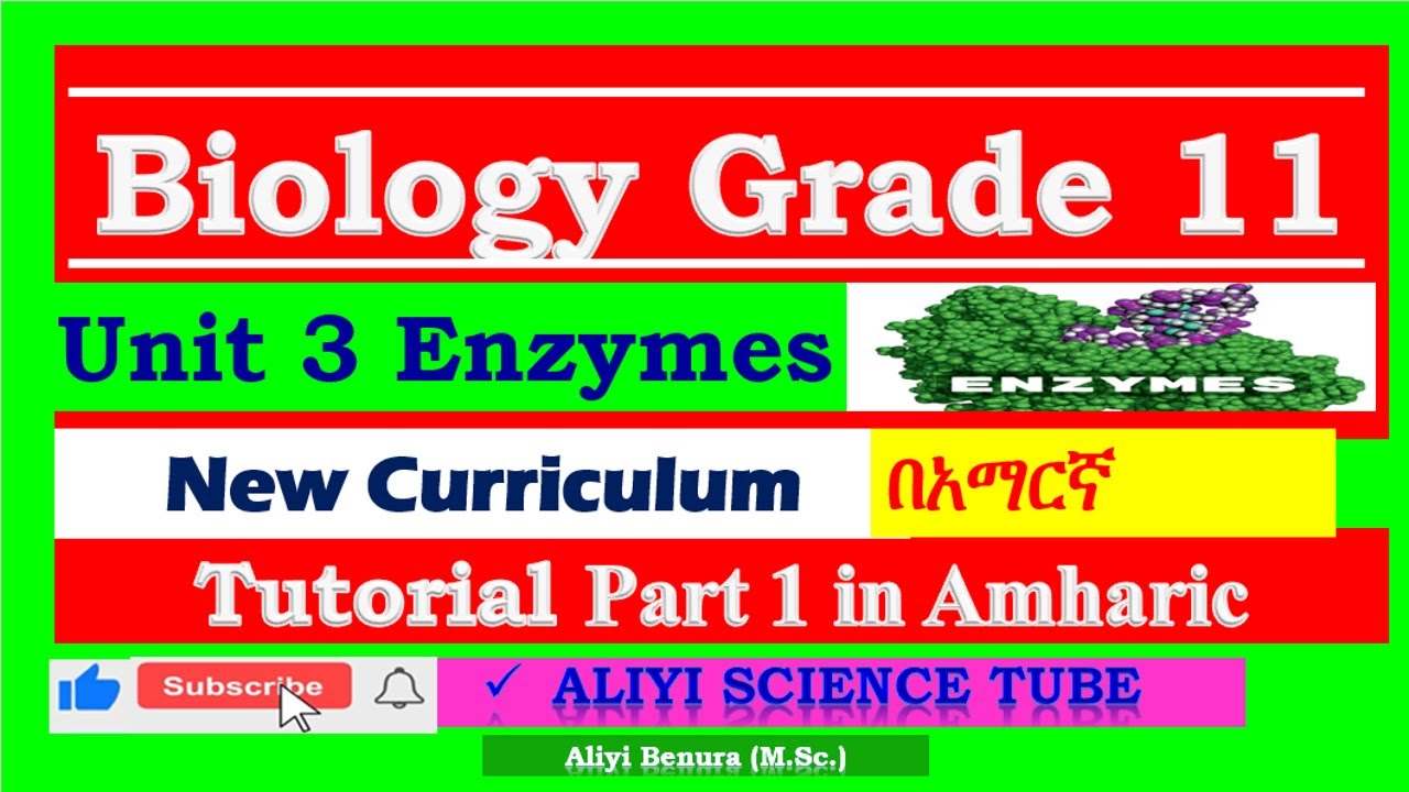 New Curriculum Biology Grade 11 Unit 3 Enzyme Tutorial Part 1 in ...