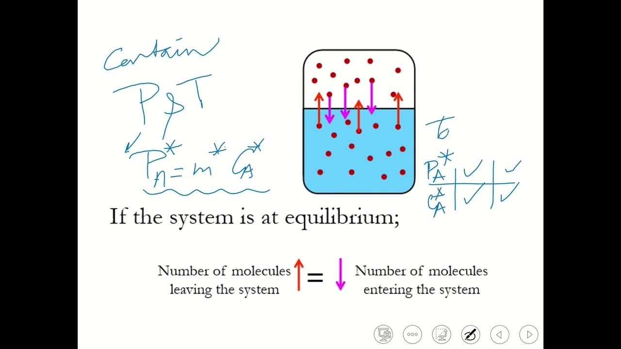 Lec 04 Diffusion | Dr Nagwa - YouTube