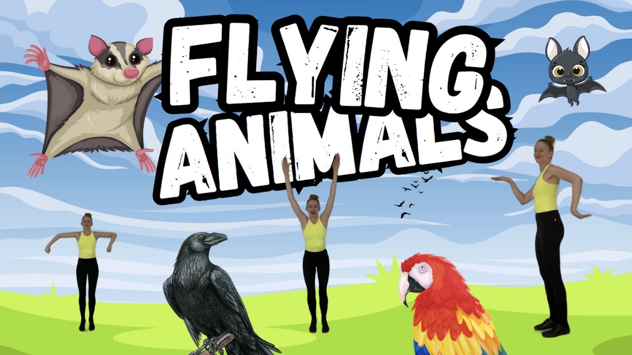 Flying Animals | This or That | Kids Workout - YouTube