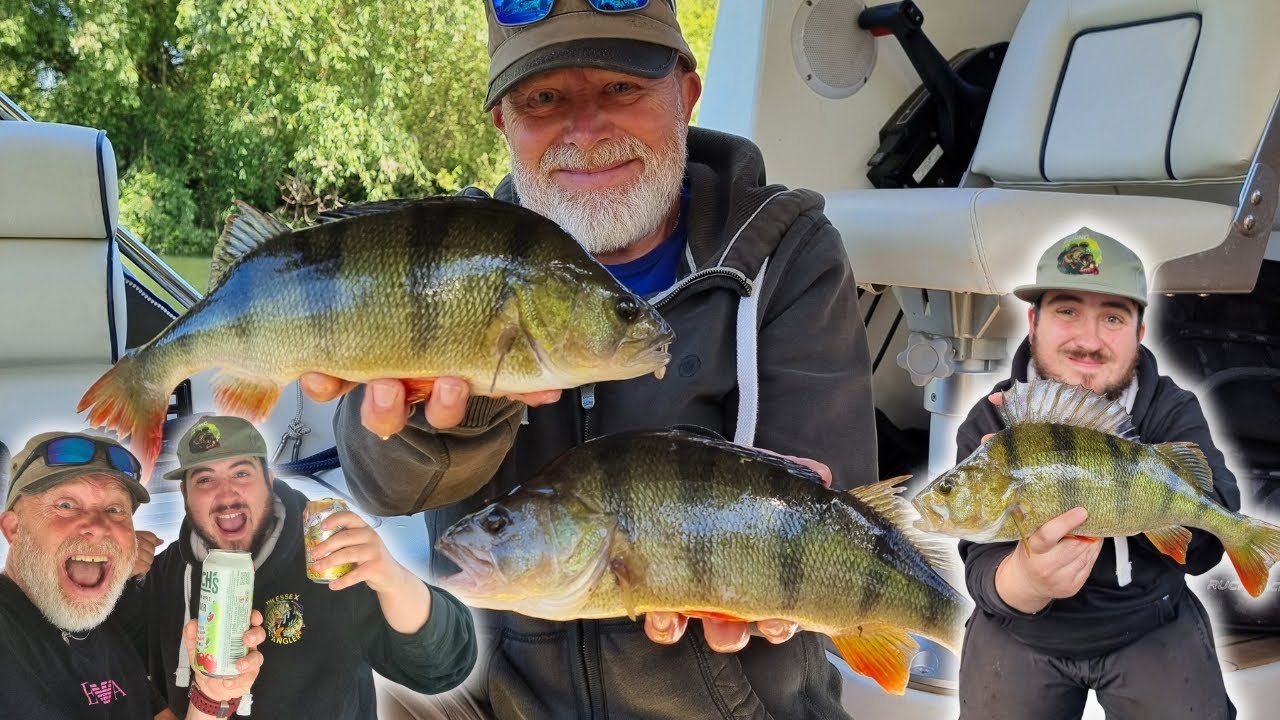 River Fishing for MONSTER Perch - Left Speechless! - YouTube