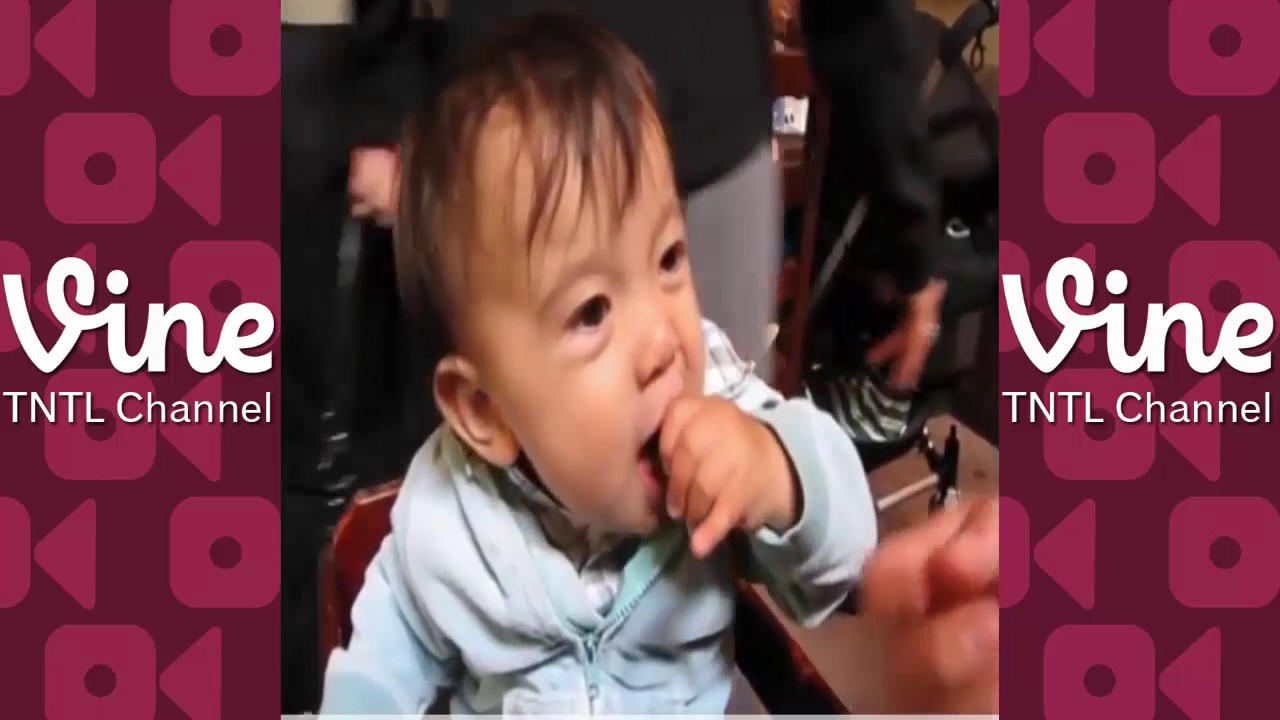 Try Not To Laugh Challenge Vines or Grin Compilation 2017 Week 08 - YouTube